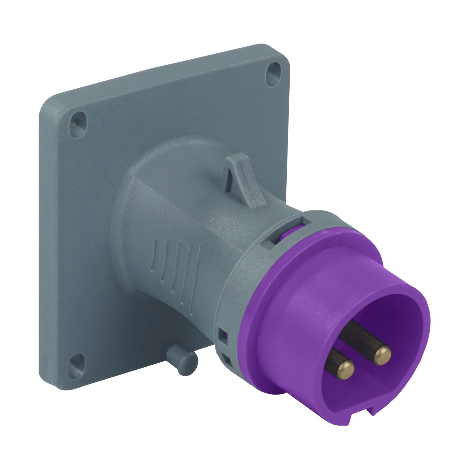 Angled Panel Mount Appliance Inlet | Low Voltage Products